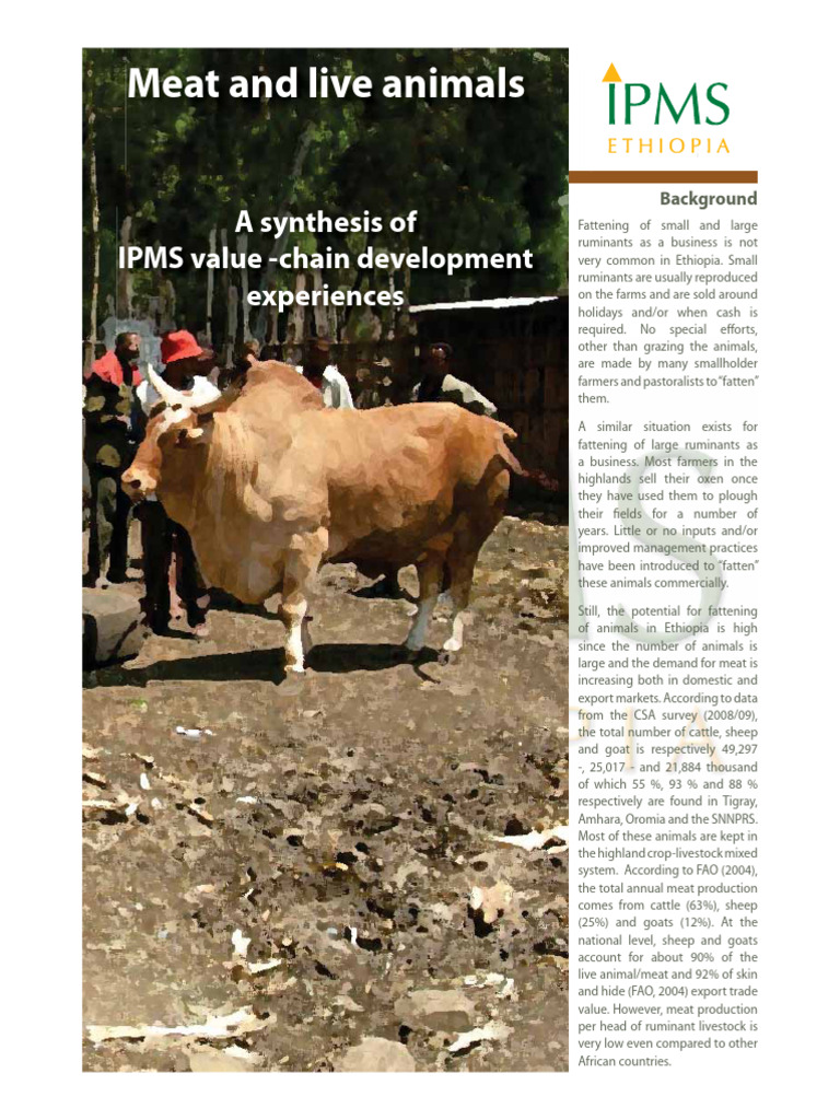 Small Ruminants Synthesis | PDF | Cattle | Sheep