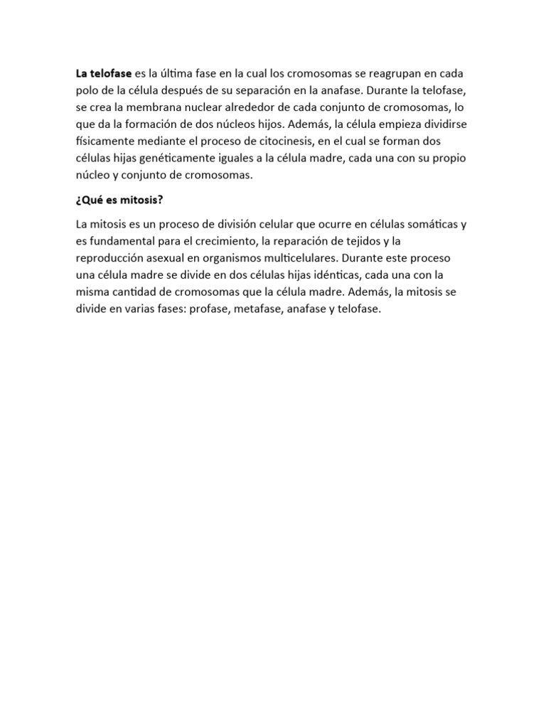 Resumen de la Telofase en Mitosis | PDF | Ciencias sociales | Ciencia y ...
