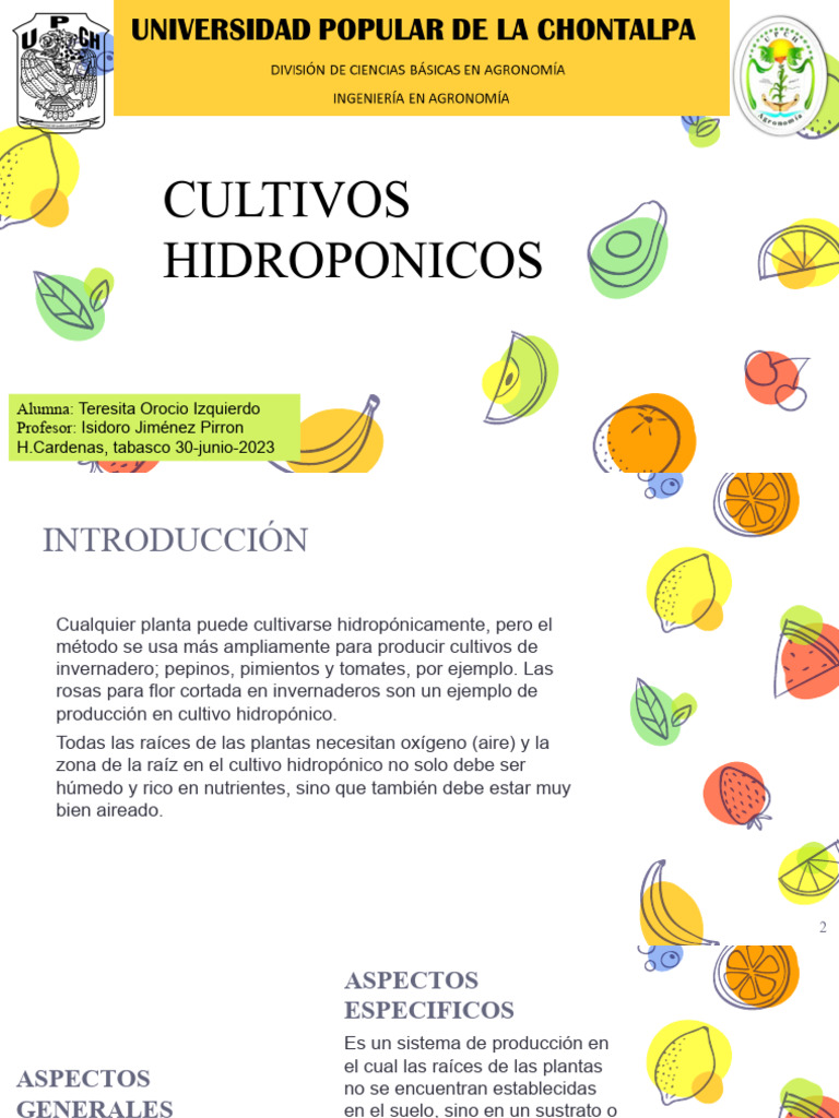 Cultivo Hidroponico Teresita Orocio Izquierdo | PDF | Hidroponia ...