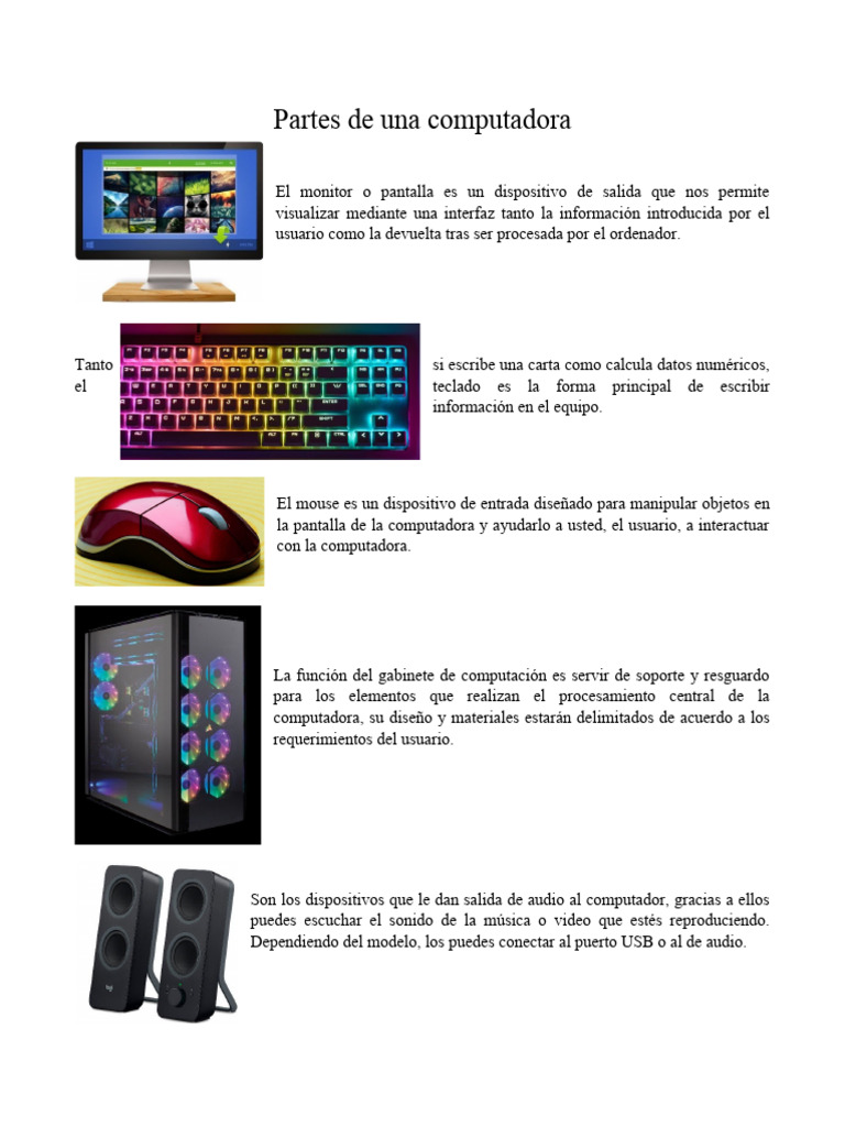 Partes Esenciales de una Computadora | PDF | Informática