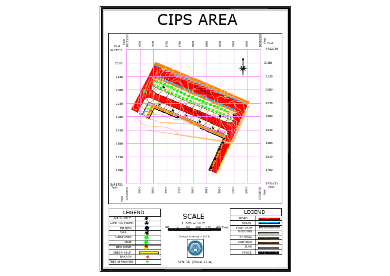Kamran Aslam (405647) Cips Area (SYN-3A) | PDF