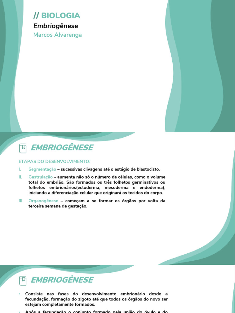 Fases da Embriogênese Humana | PDF