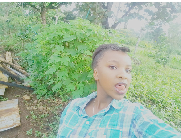 Com Google Android Apps Nbu Files Documentbrowser | PDF