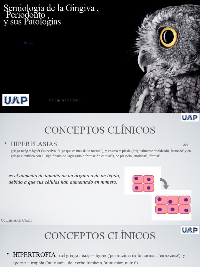 Clase 2 Semio 2024 | PDF | Inflamación | Enfermedades y trastornos