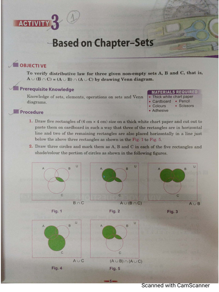 XI Maths Activity | PDF