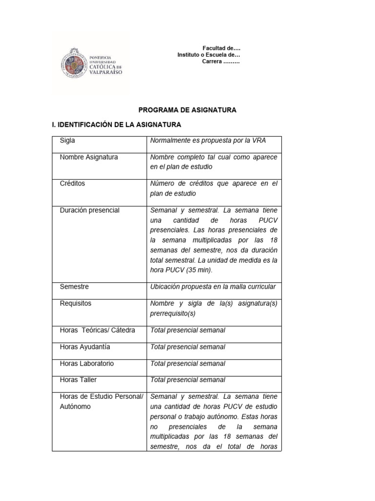 Formato Programa PUCV | PDF | Evaluación | Maestros