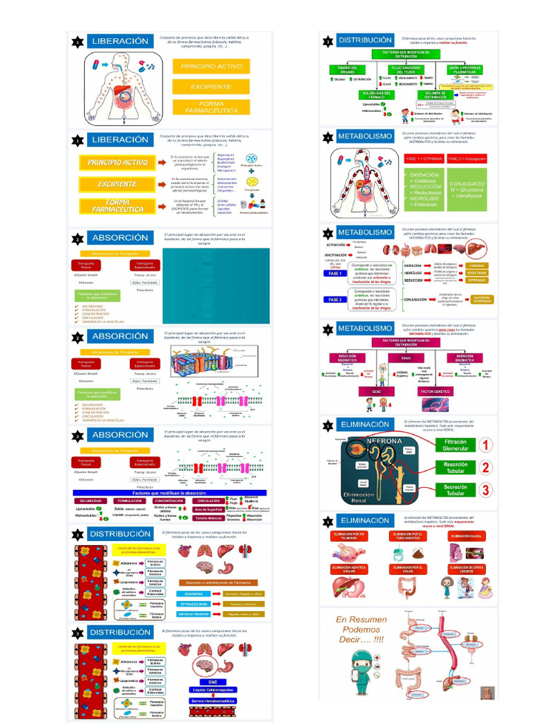 Proceso Ladme | PDF