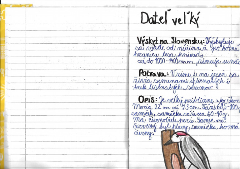 Domáca Úloha | PDF