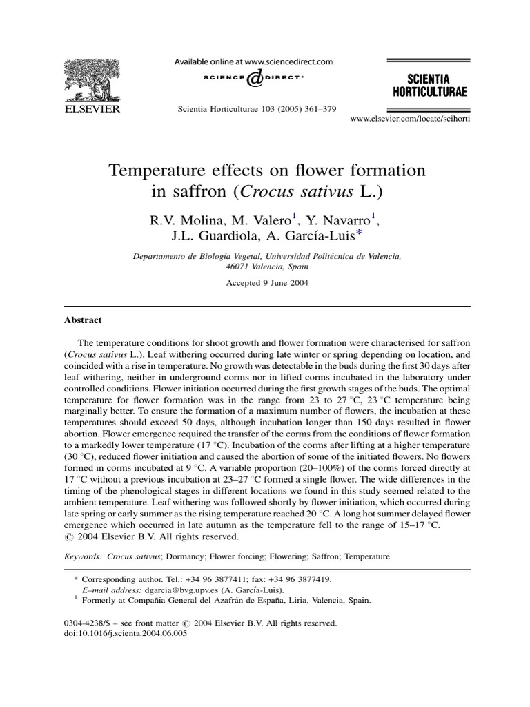 Temperature Effects On Flower Formation in Saffron (Crocus Sativus L ...