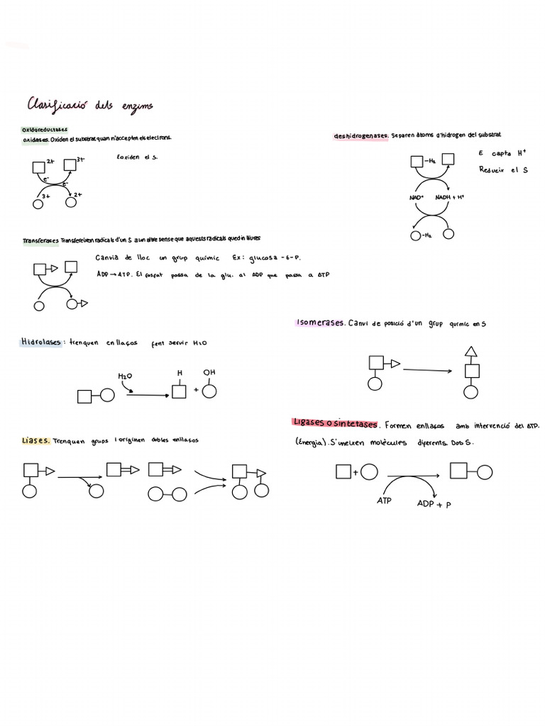 Nueva Nota 2022-09-09 13-42-06 | PDF