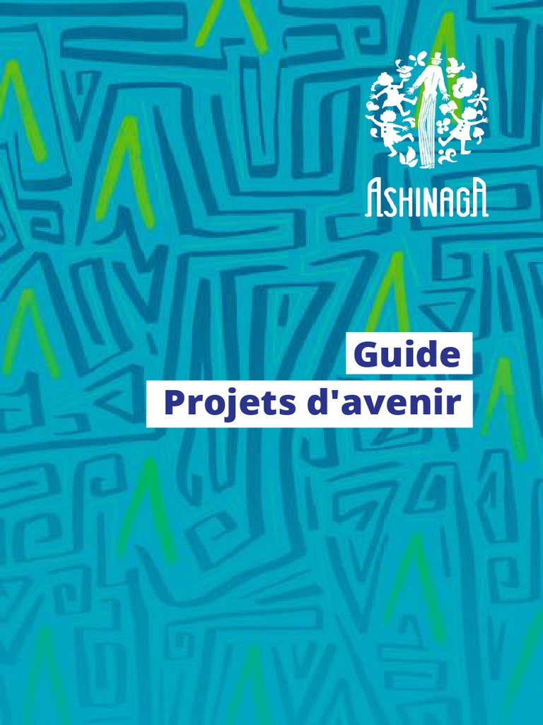 FR Ashinaga - Guide Des Projets Davenir | PDF