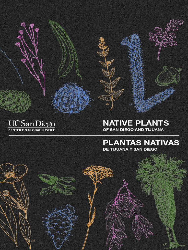 Native Plants Manual - 2024 - Spreads | PDF | Pradera | Desierto