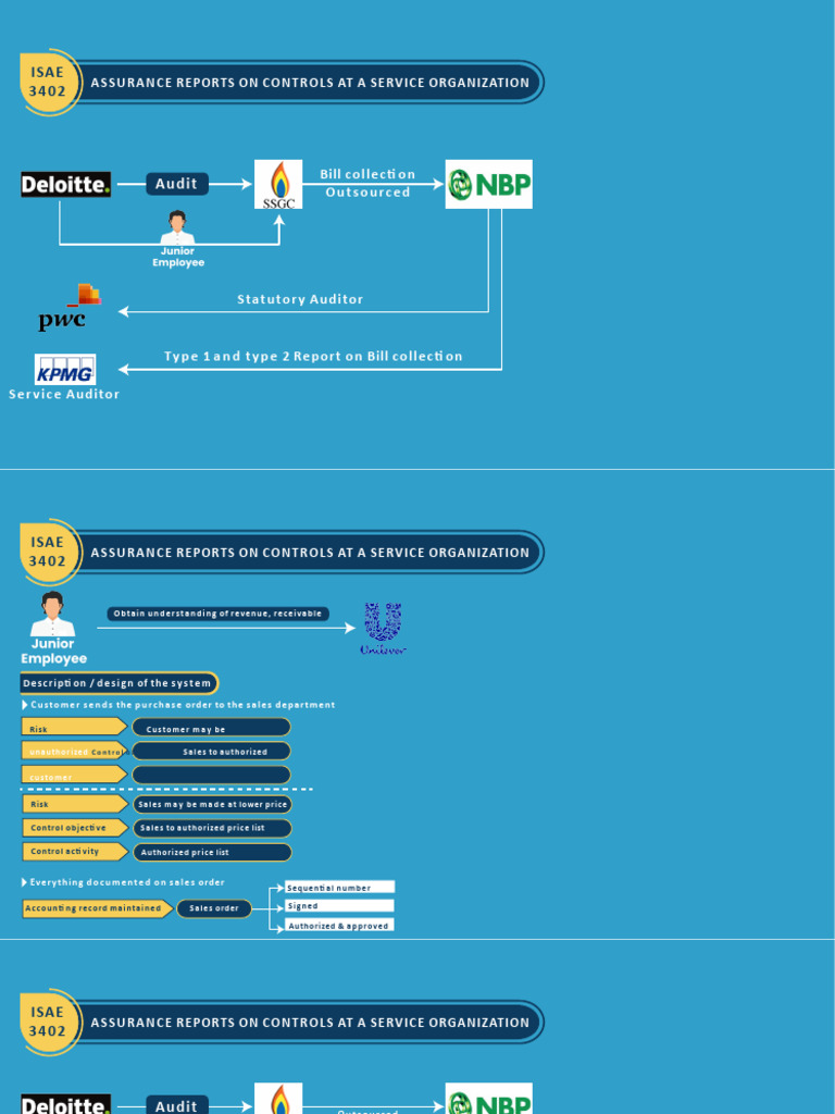 Isae 3402 | PDF | Accounting
