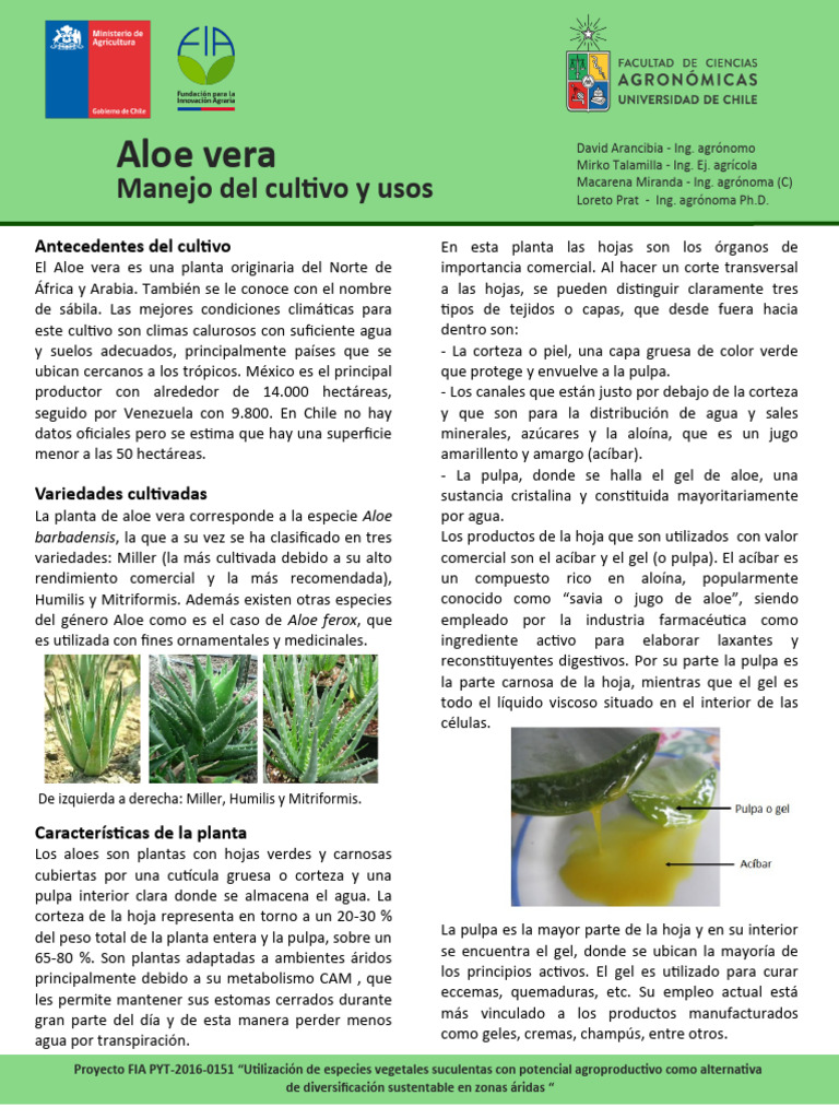 Ficha Tecnica Aloe Vera | PDF | Fertilizante | Riego