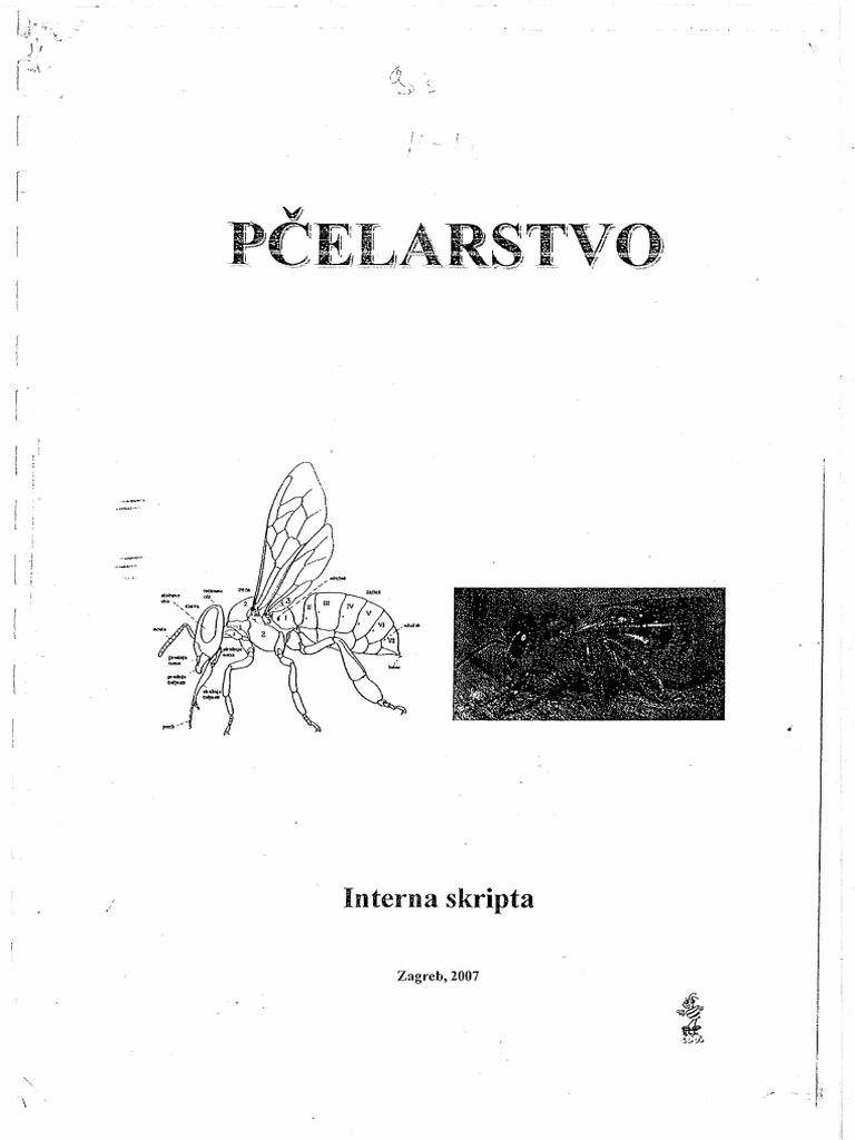 Pčelarstvo - Interna Skripta | PDF