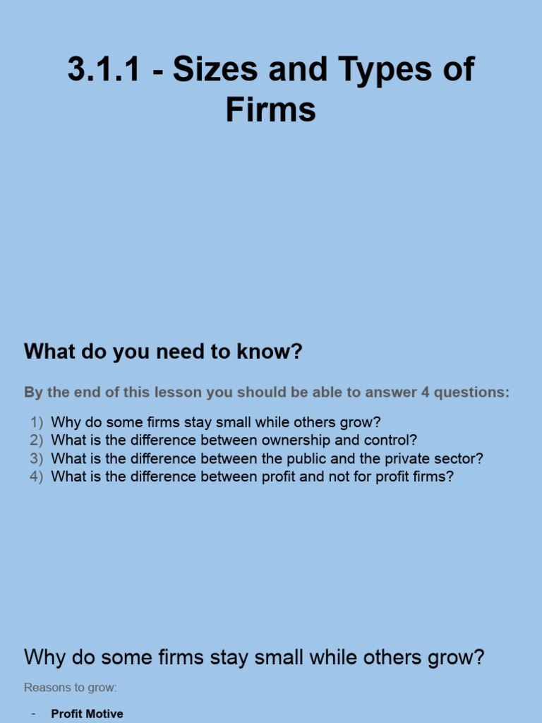 Firm Types: Growth, Ownership, and Profit | PDF | Profit (Economics ...