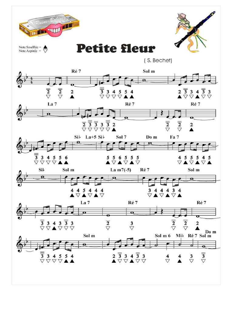 Partition "Petite Fleur" | PDF