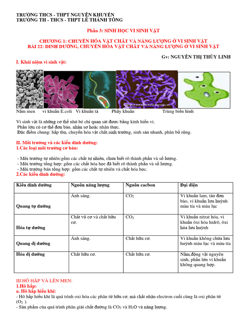 Lythuyetbai22 Sinh10 | PDF