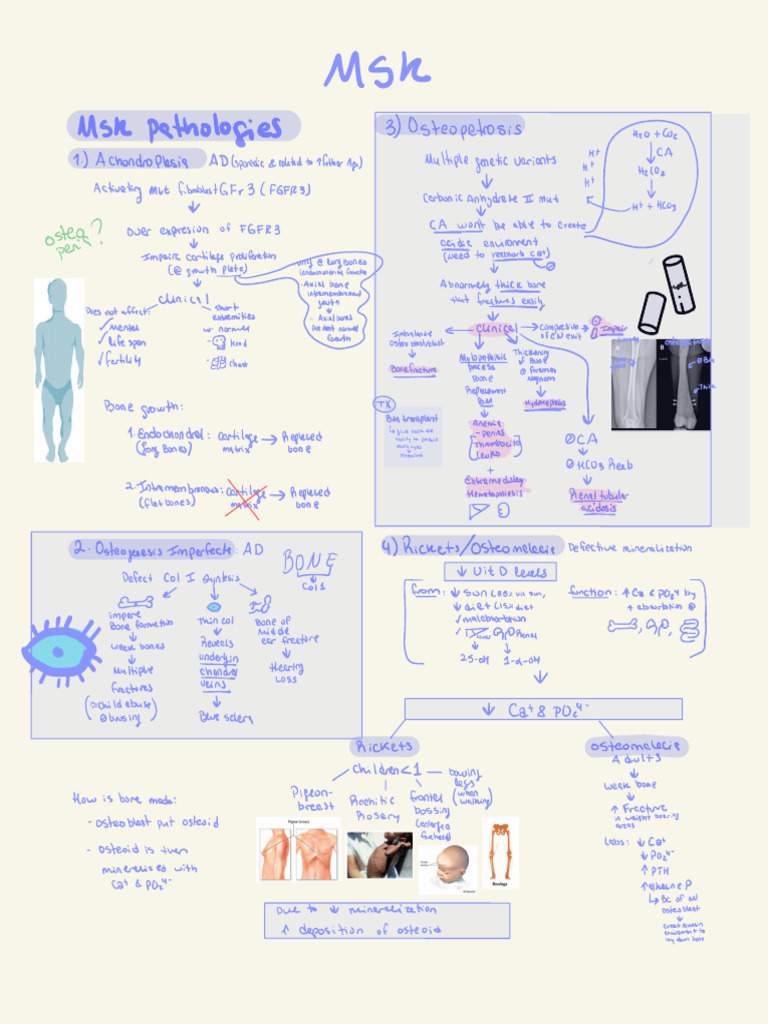 MSK Pathoma Chapters Review | PDF