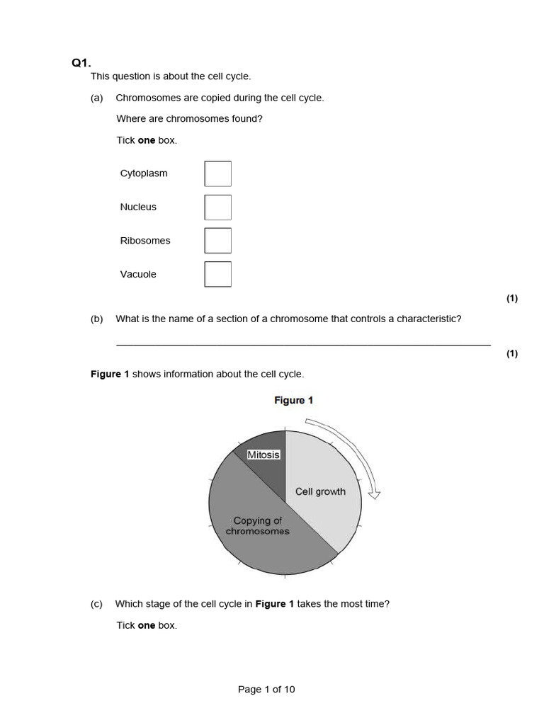 Cell Division Revison Questions | PDF | Mitosis | Cell (Biology)