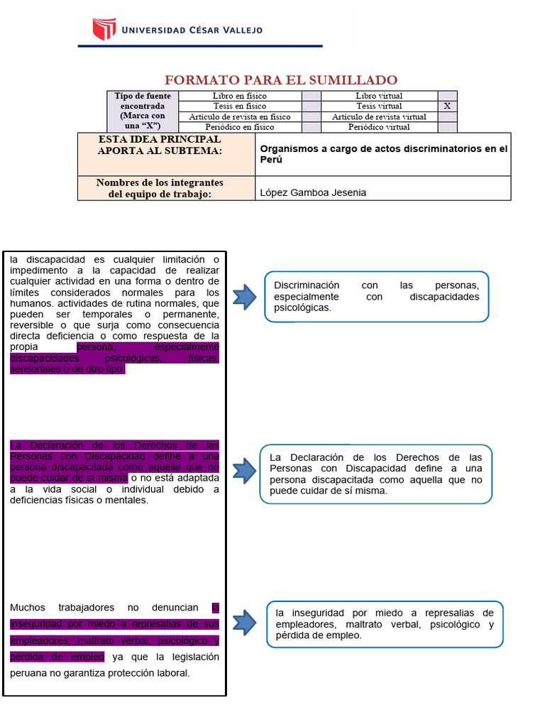 Formato para Sumillado | PDF | Invalidez | Discriminación