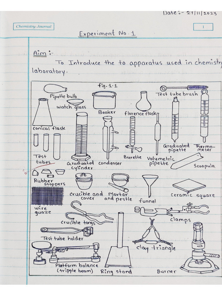 Chemistry Practicals | PDF