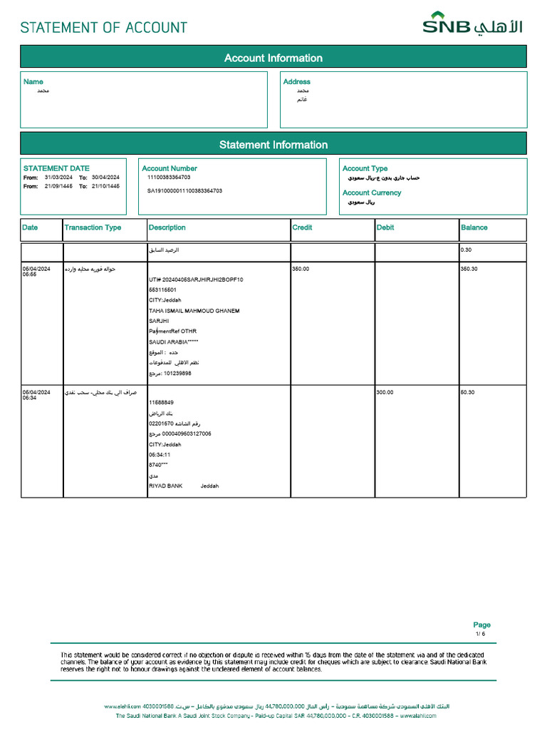 E Statement | Download Free PDF | Debits And Credits | Money