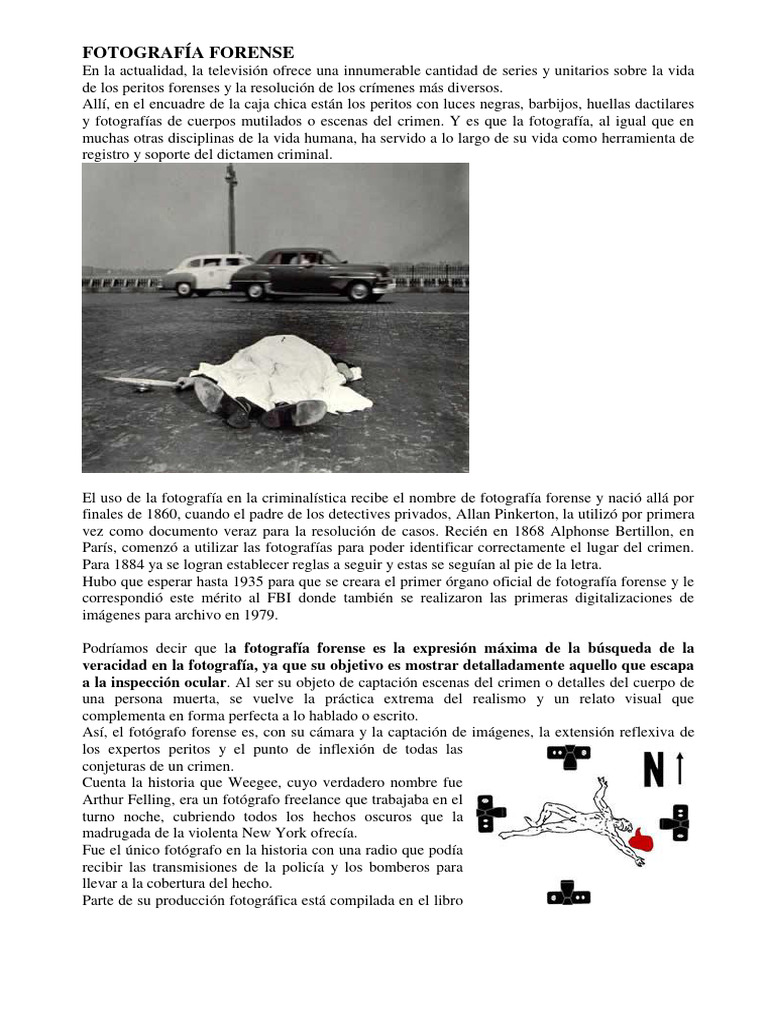 19 Fotografía Forense Pdf Ciencia Forense Ultravioleta