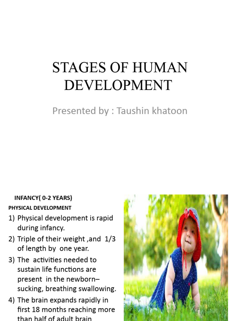 Stages of Human Development | PDF | Infants | Attachment Theory
