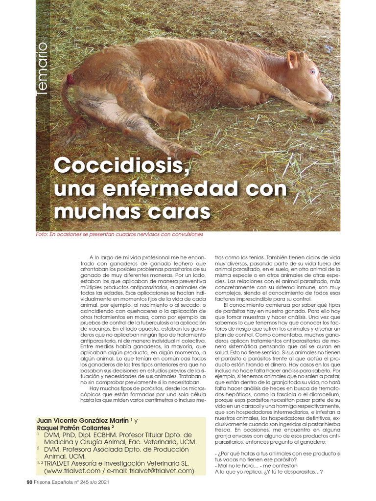 Coccidiosis Una Enfermedad Con Muchas Caras | PDF | Diarrea | Heces