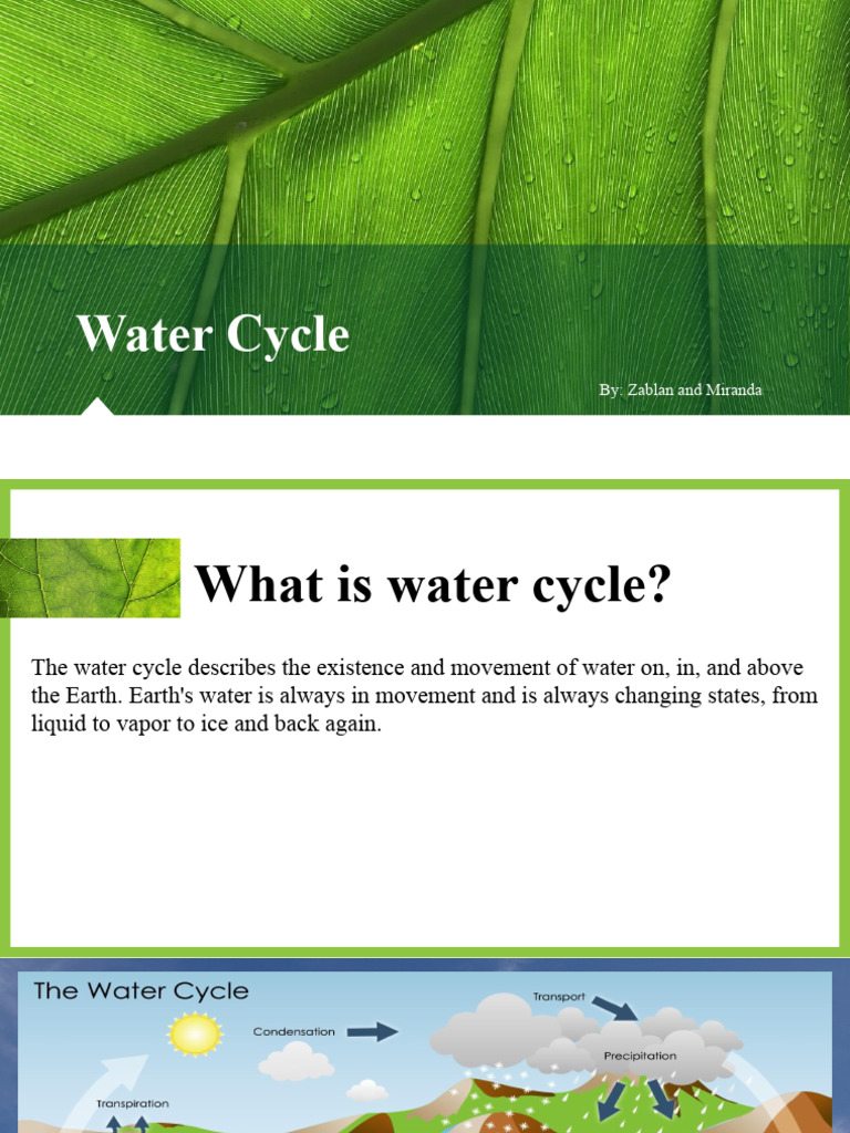 Water Cycle Presentation | PDF | Water Cycle | Water