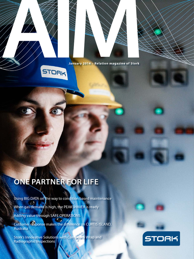 AIM-magazine-2014a-ENG | PDF | Reliability Engineering | Big Data