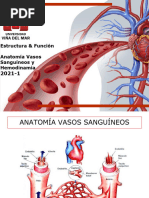 Fisiología y Anatomía Quirúrgicadela Arteria Mamaria Interna | PDF ...