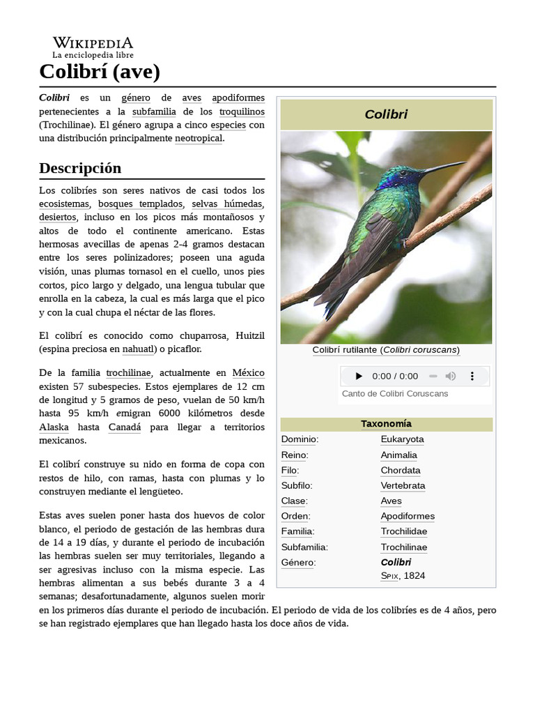 Características del Colibrí en Argentina | PDF | Ornitología | Zoología
