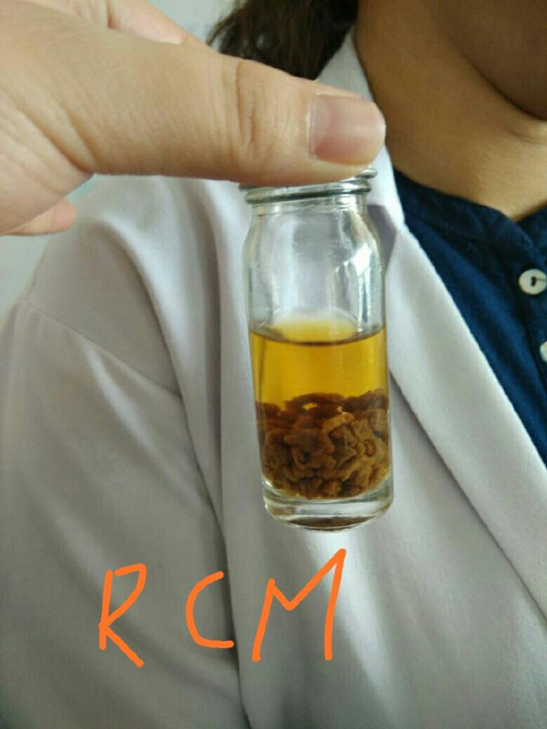 Micro Practical | PDF