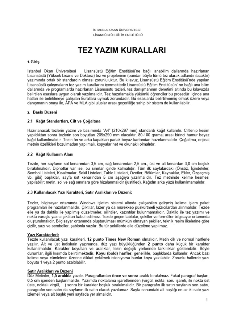 Tez Yazim Kurallari | PDF