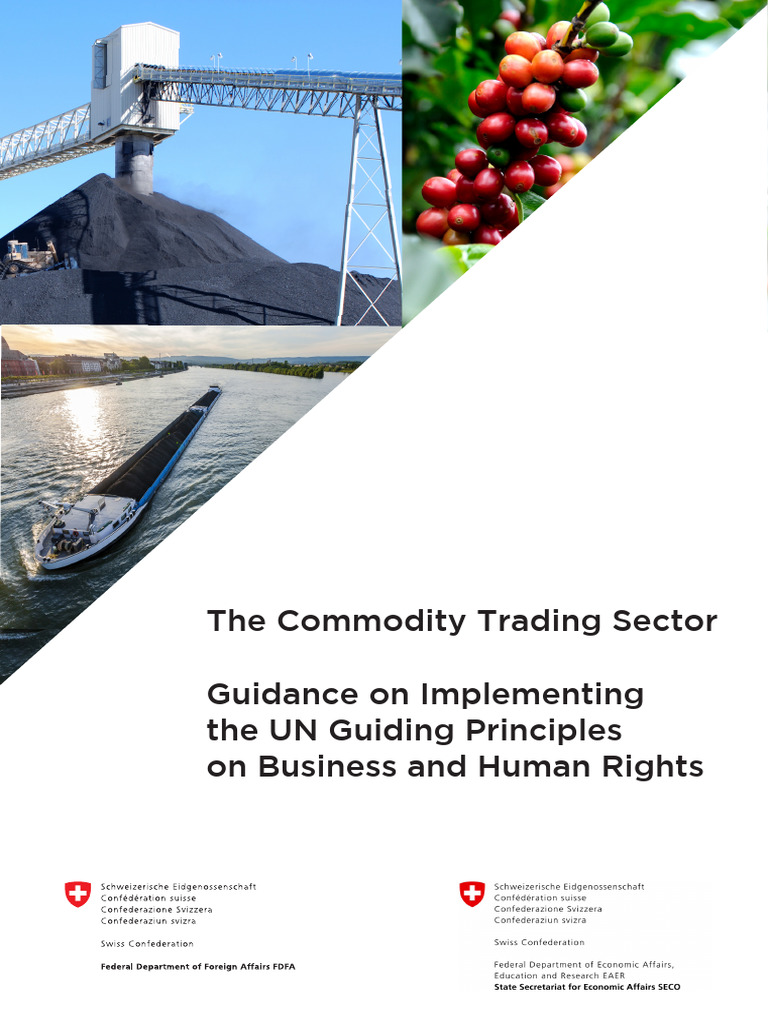 Guidance On Implementing The UN Guiding Principles On Business and ...