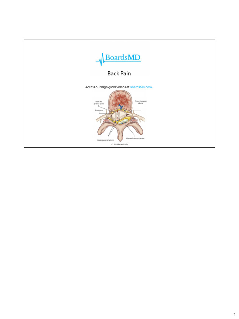 Back_Pain_ | PDF | Back Pain | Diseases And Disorders