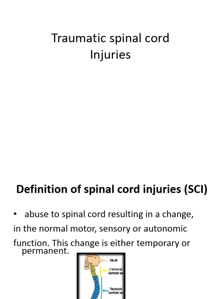 Traumatic Spinal Cord Injuries | PDF | Spinal Cord Injury | Anatomical ...
