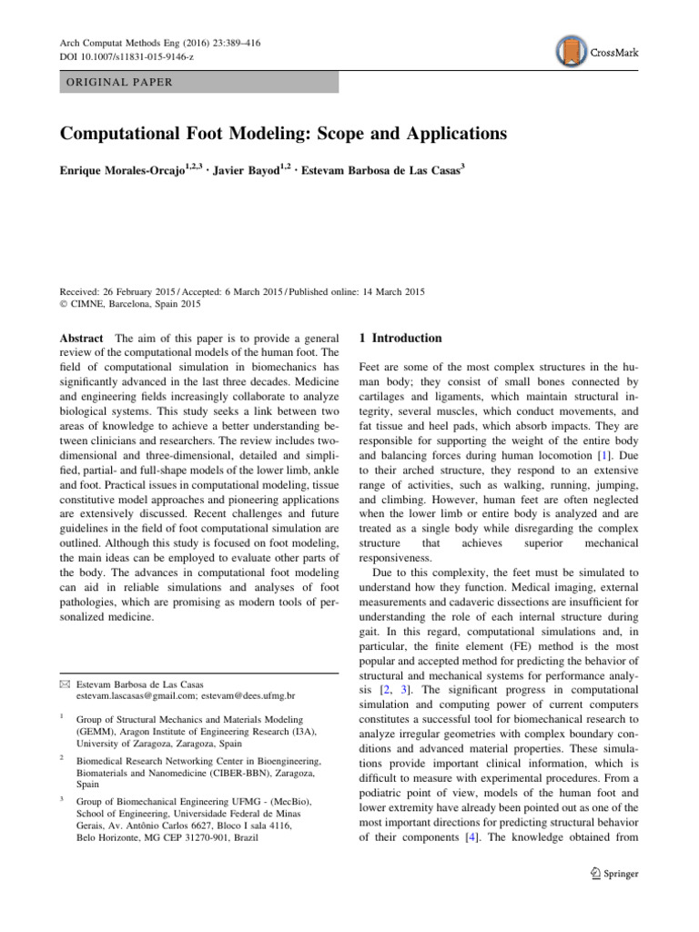 Computational Foot Modeling - Scope and Applications | PDF | Tendon ...
