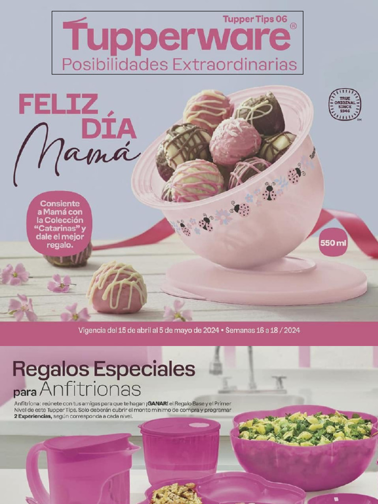 Tupperware C6 2024 | PDF