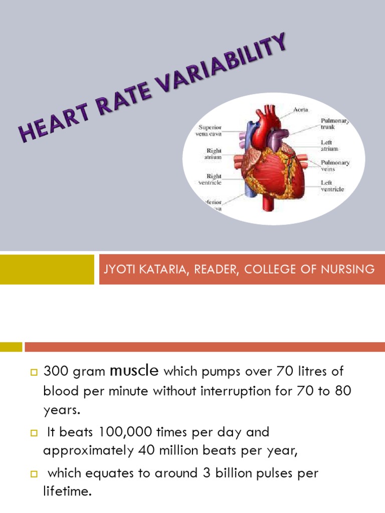 Heart Rate Variability | Heart Rate | Medical Specialties