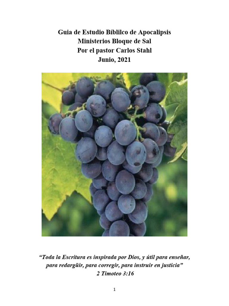 Estudio Bíblico Del Apocalipsis Pdf Libro De Revelación Cristo