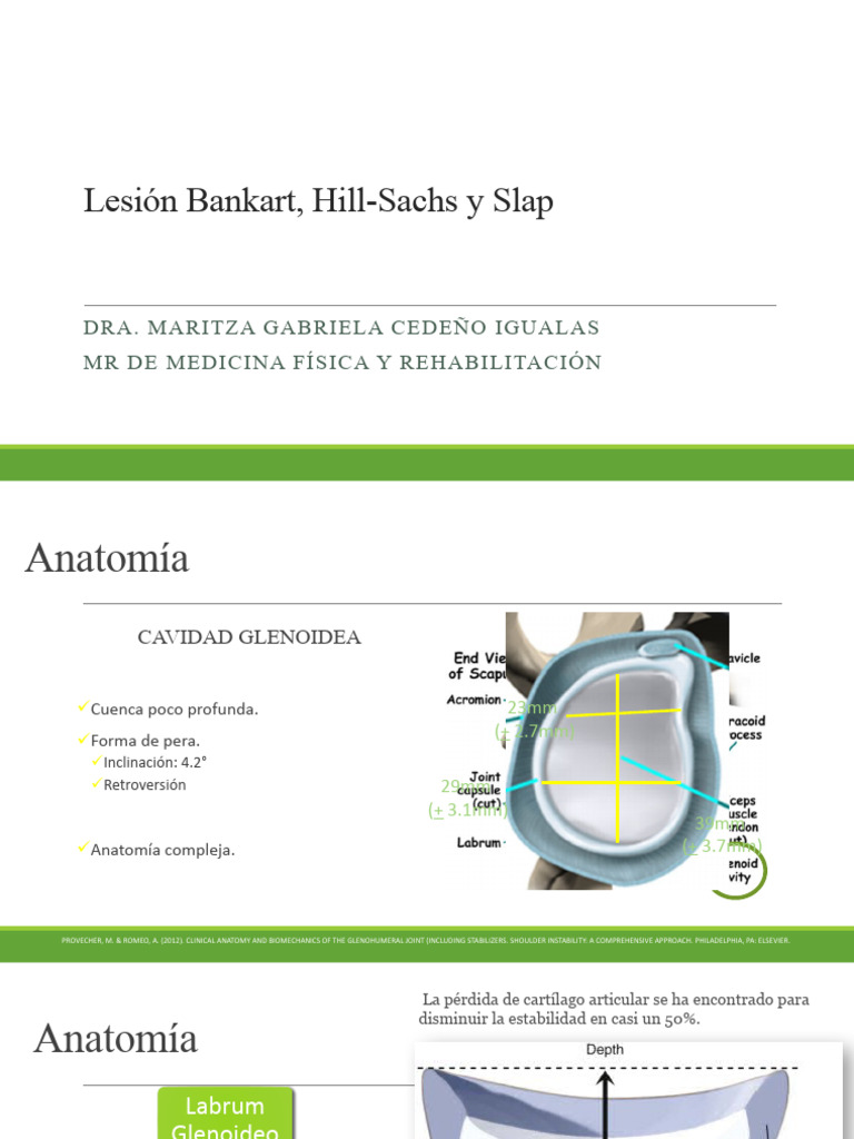 Lesiones de Hombro: Bankart, Hill-Sachs y SLAP | PDF | Sistema ...