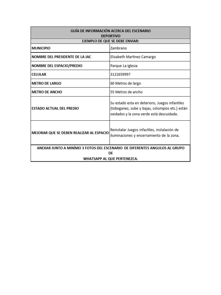 Guía Formato 3 y 5 | PDF
