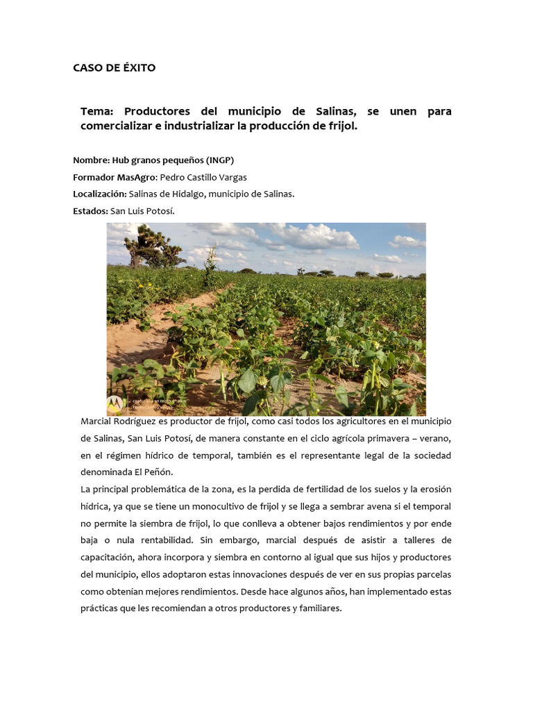 1 Ttf-Mex - Ingp Caso Exitoso Frijol | PDF | Agricultura | Iniciativa ...