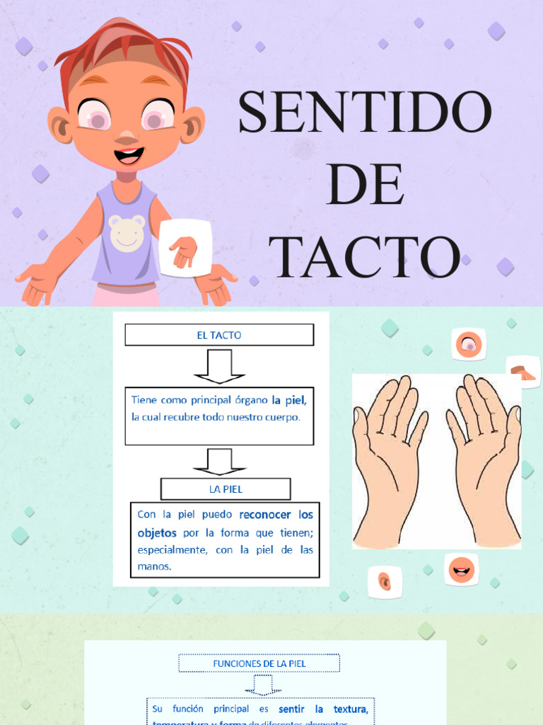 Función y cuidado del sentido del tacto | PDF | Relaciones personales ...