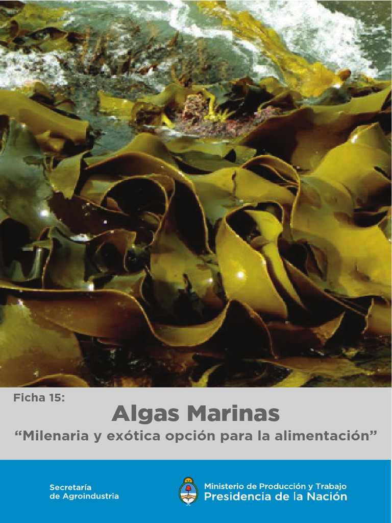 Ficha 15 Algas | Descargar gratis PDF | Algas | Alimentos