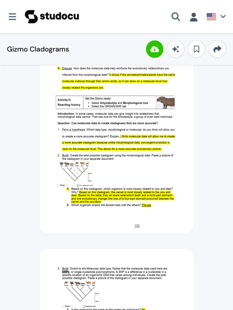 Cladograms: Molecular vs. Morphological Data | PDF | Single Nucleotide ...