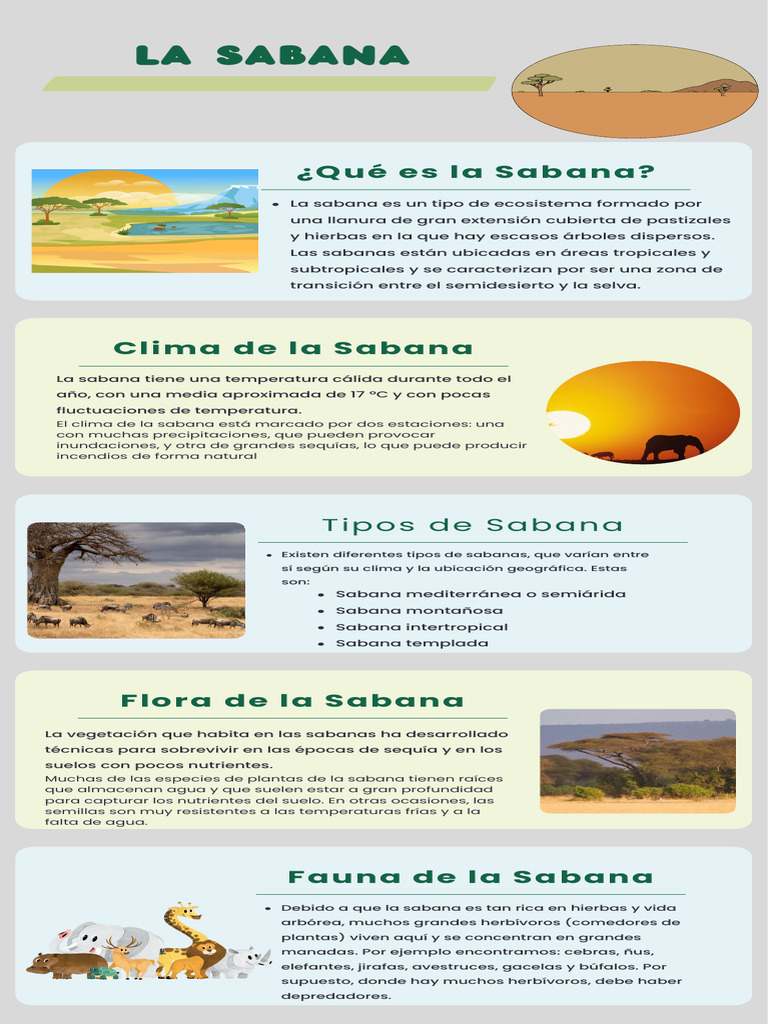 La Sabana - 20240501 - 120913 - 0000 | PDF